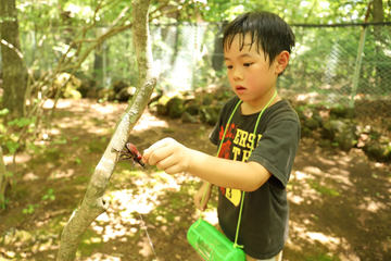 Robot Watch-ニュース--女性型ヒューマノイドロボット「HRP-4C」がウエディングドレスでモデルデビュー